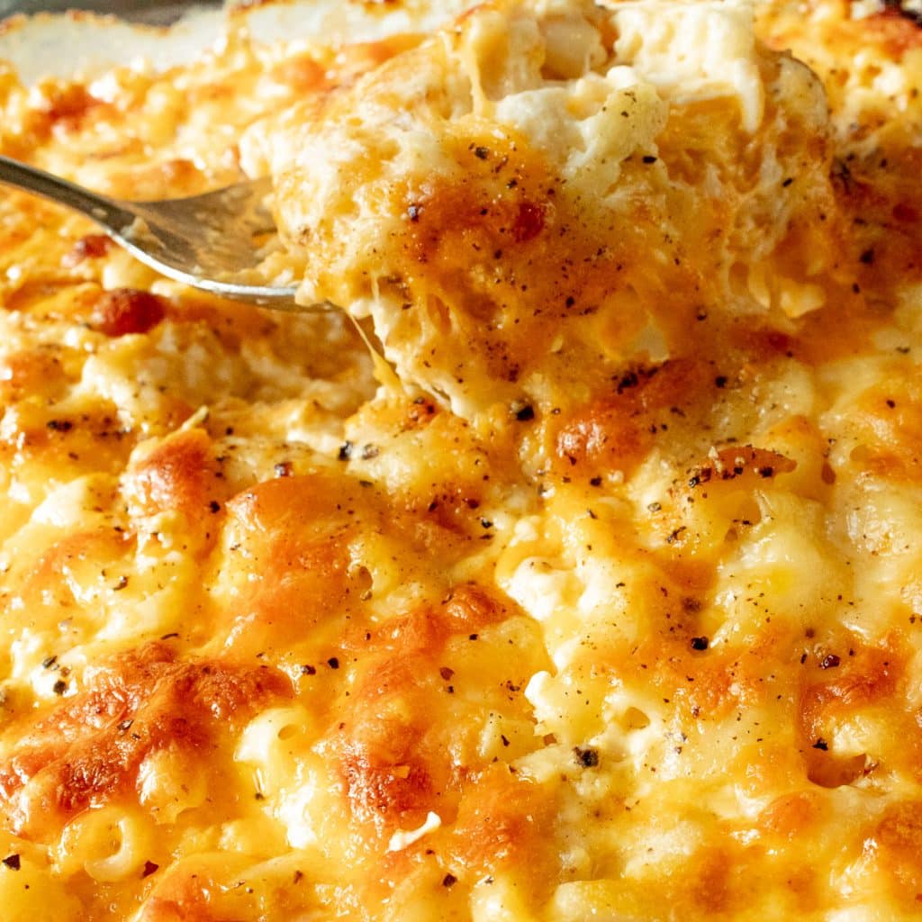 Southern Baked Macaroni And Cheese Recipe Evaporated Milk Dandk