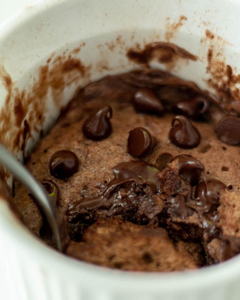 Protein Mug Cake - Easy 3 Ingredient Chocolate Recipe - Chenée Today