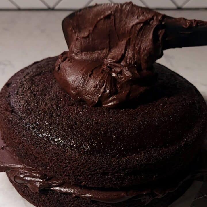 Best Matilda's Chocolate Cake Recipe - Matilda Cake - Chenée Today