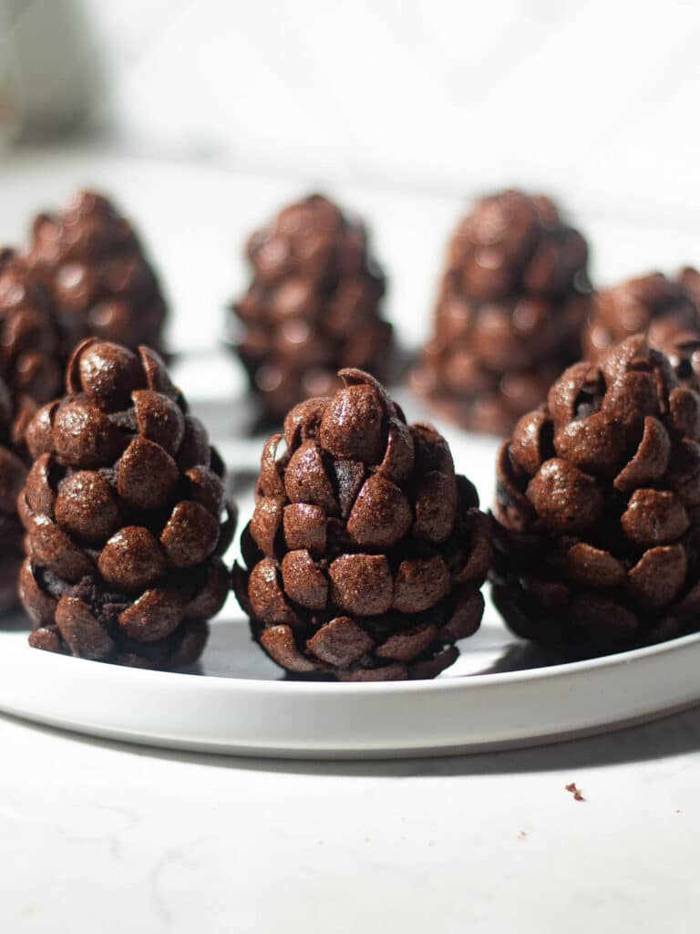 Easy Pinecone Brownie Recipe - Pine Cone Brownies - Chenée Today