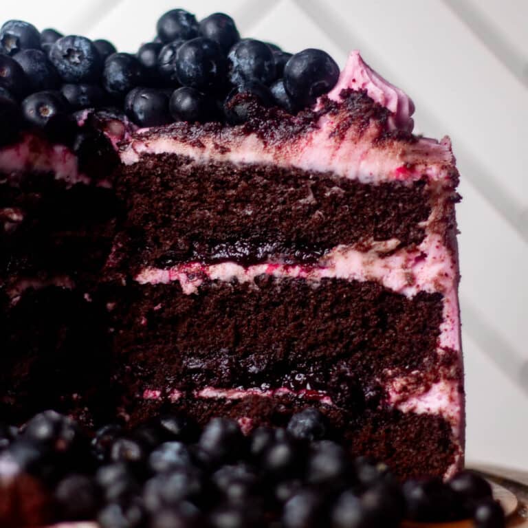 Chocolate Blueberry Cake Recipe with Easy Frosting - Chenée Today