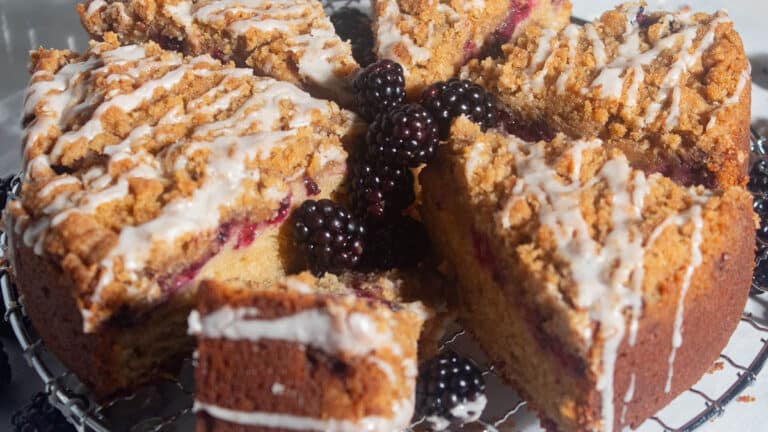 Blackberry Coffee Cake Recipe with Streusel Topping - Chenée Today